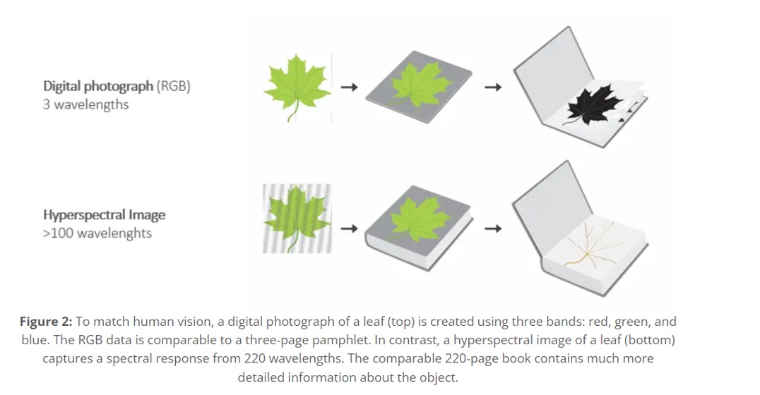 Hyperspectral Imaging - Online Solutions